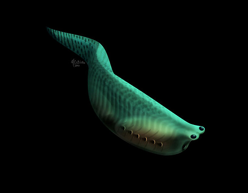 Ravelry: Metaspriggina pattern by Mary Hough