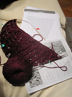 Ravelry: hrhdeb's Juneberry Shawl in Capra