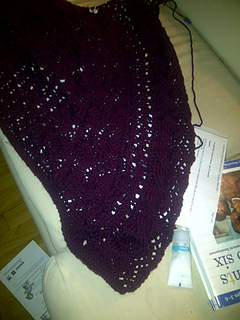 Ravelry: hrhdeb's Juneberry Shawl in Capra