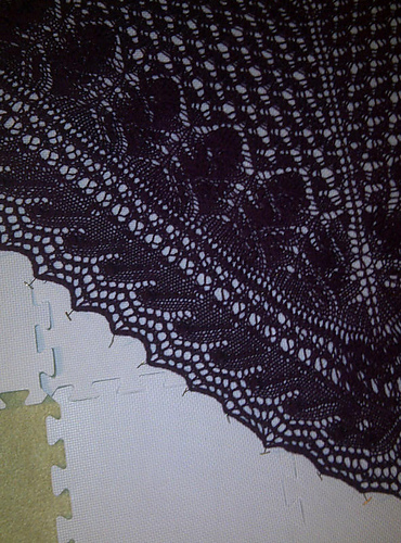 Ravelry: hrhdeb's Juneberry Shawl in Capra