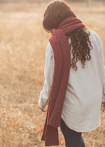 Ravelry: Dakota pattern by Nina Talbot