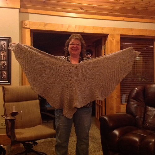 Ravelry: The Artist's Palette Shawl pattern by Renee Van Hoy