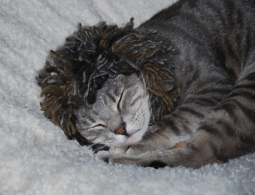 Ravelry: Cat's Mane pattern by Mer Almagro