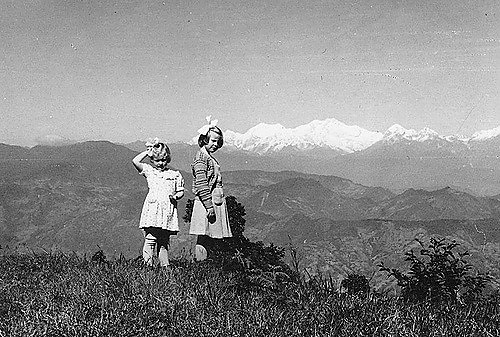 Ravelry: ivaa's Million shades of green