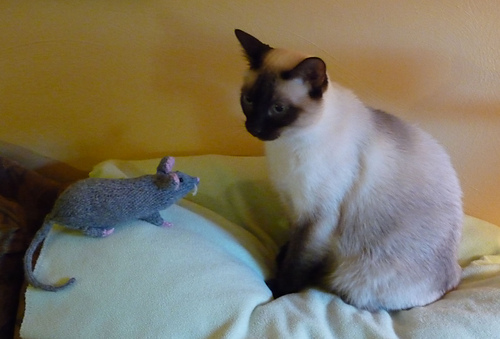 Ravelry: Rats! pattern by Sara Elizabeth Kellner