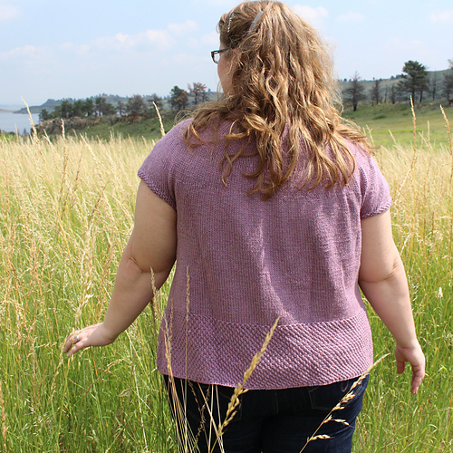 Ravelry: Lady Wren pattern by Jennie Santopietro