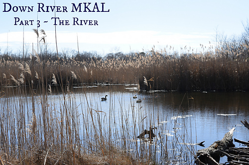 Ravelry: Down River pattern by Joan Forgione