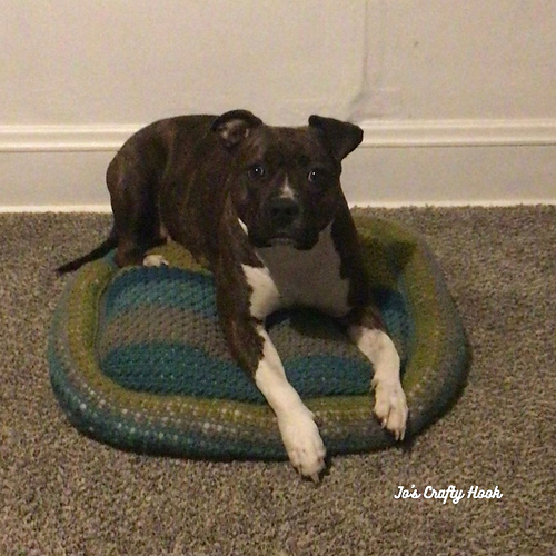 Ravelry: Your Buddy’s Bed pattern by Jo's Crafty Hook