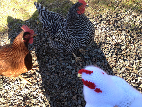 Ravelry: Hildegard, the Life-Size Crochet Chicken pattern by Once Upon ...