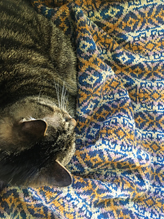 Ravelry: kibbin's Arabesque Wrap