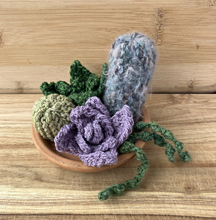 Ravelry: Squishy Succulents pattern by Kira Dulaney