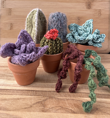 Ravelry: Squishy Succulents pattern by Kira Dulaney