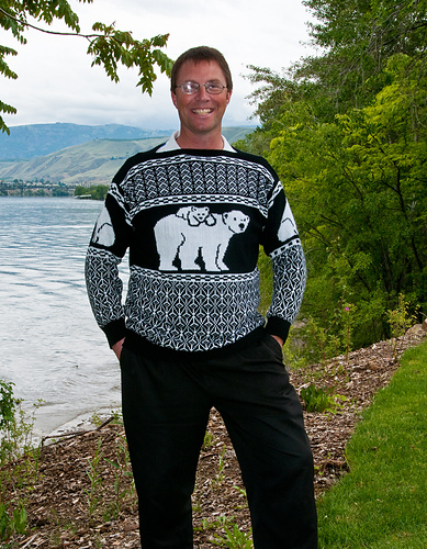 Ravelry: 14 Norwegian Sweaters pattern by Phyllis Waterhouse