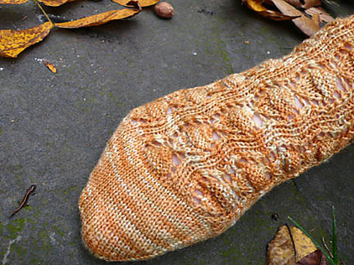 Ravelry: Acorn Stash Sock pattern by Anne Hanson