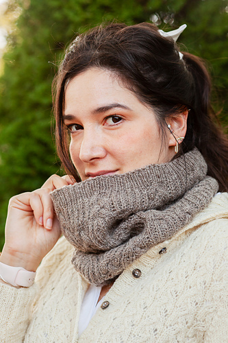 Ravelry: Toasty Oats Cowl pattern by Anne Hanson