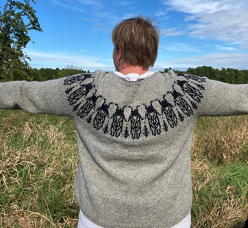 Ravelry: Brood X: Cicada Sweater pattern by Margot Erdmann