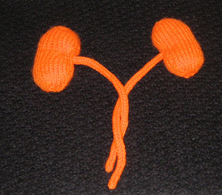Ravelry: kidneys in the round pattern by siw smith