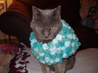 Ravelry: kuna13's smooshy scarf