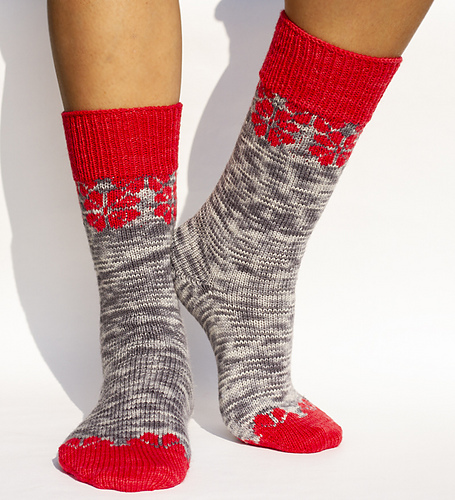 Ravelry: Daisy Edge Socks pattern by Dolly Laishram Bhardwaj