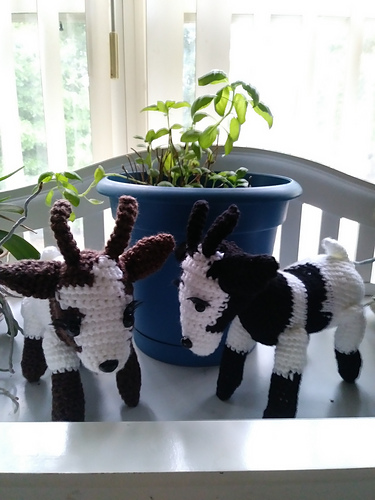 Ravelry: Molly pattern by Linda Lindall