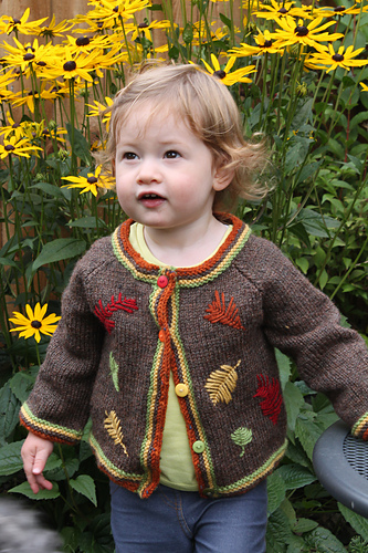 Ravelry: Autumn Leaves Jacket pattern by Jenny Snedeker