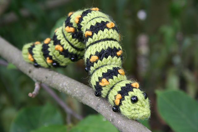 Ravelry: Striped Caterpillar pattern by Lesley Stanfield