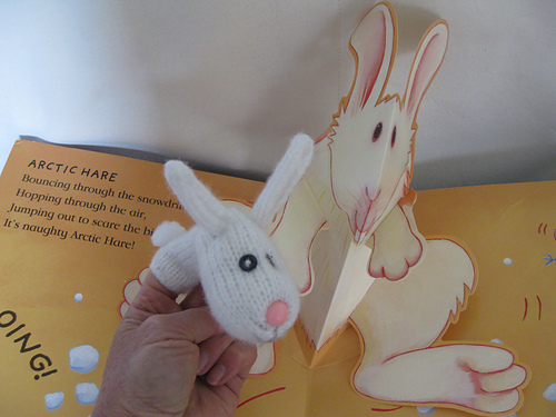 Ravelry: Below Zero! Animal Finger Puppets pattern by Lindsay Mudd