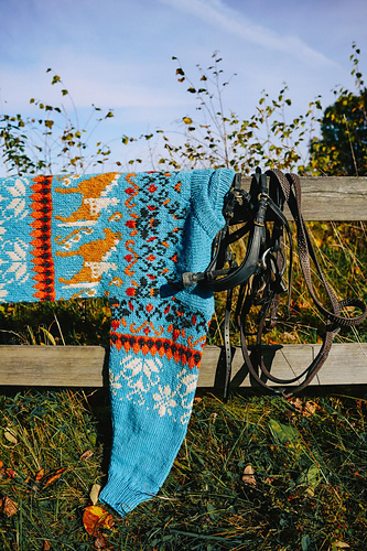 Ravelry: Norwegian Fjord Horse Sweater pattern by Linka Neumann