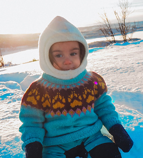 Ravelry: Baby Wilderness Sweater pattern by Linka Neumann