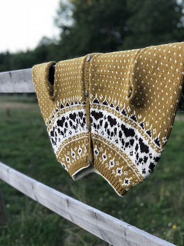Ravelry: Fjordfolkkofte pattern by Linka Neumann
