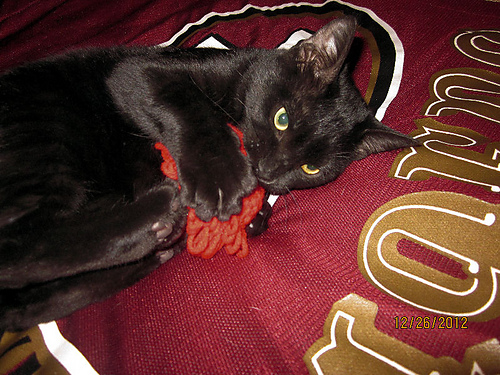 Ravelry: Squibble Cat Toy pattern by Esh Crochet