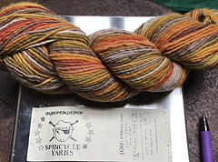 Ravelry: Spincycle Yarns Independence