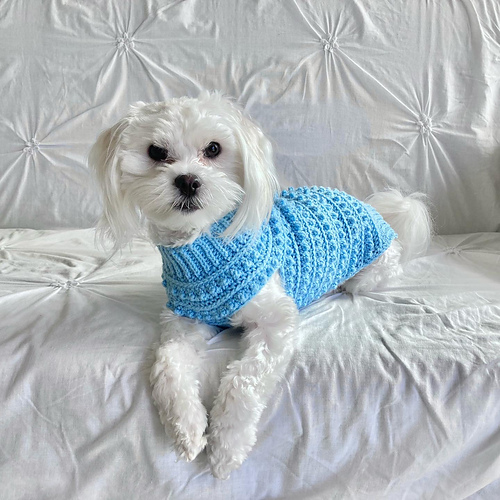 Ravelry: Lottie’s Spotty Doggy Jumper pattern by Beth Derham