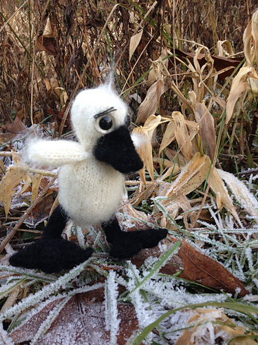 Ravelry: Ugly duckling pattern by Phoeny