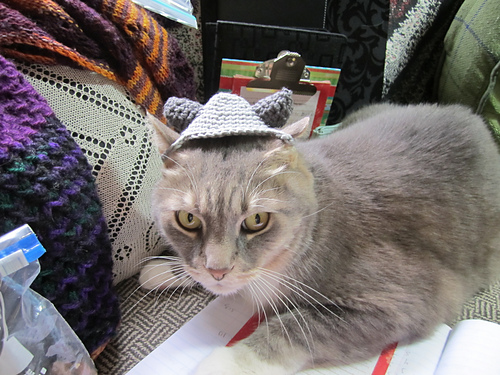 Ravelry: Viking Cat Hat pattern by Rebecca Russell