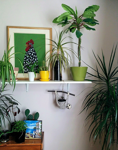 Ravelry: Sylvia the Sloth - plant hanger pattern by Happy Carrot