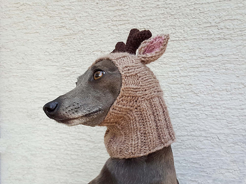 Ravelry: Reindeer Dog Hat pattern by Majda Smolnikar