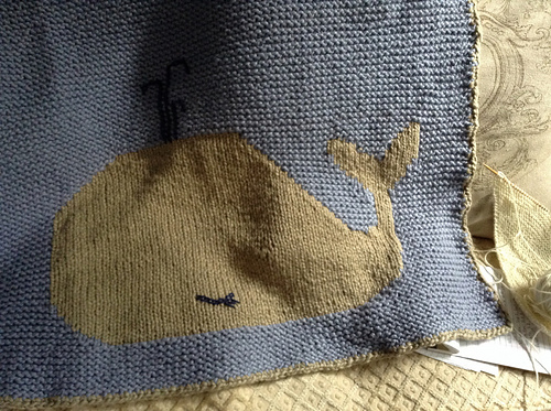 Ravelry: Baby Beluga pattern by Margeau Soboti