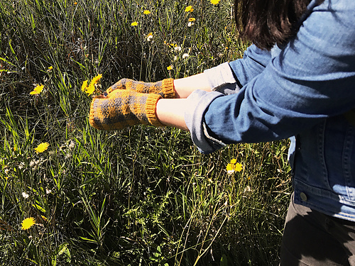 Ravelry: Field Mitts pattern by Kristen McLaren