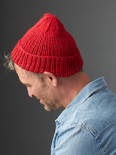Ravelry: Steve's Beanie pattern by Caron Design Team