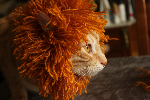 Ravelry: Cat's Mane pattern by Mer Almagro