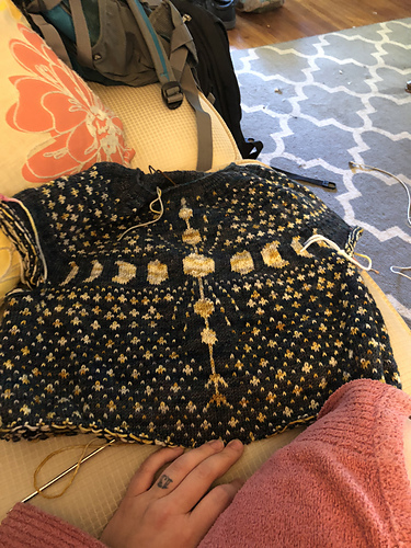 This is by far the most difficult pattern I’ve ever tried but I’m so ...