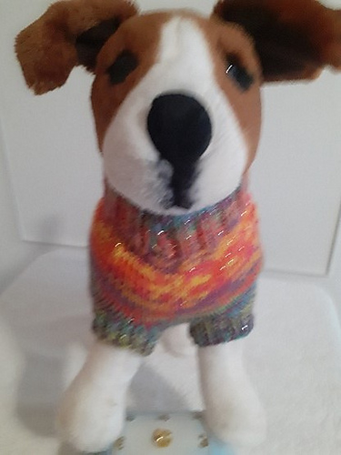 Ravelry: Sunset Glory Dog Coat pattern by Abigail Orlando