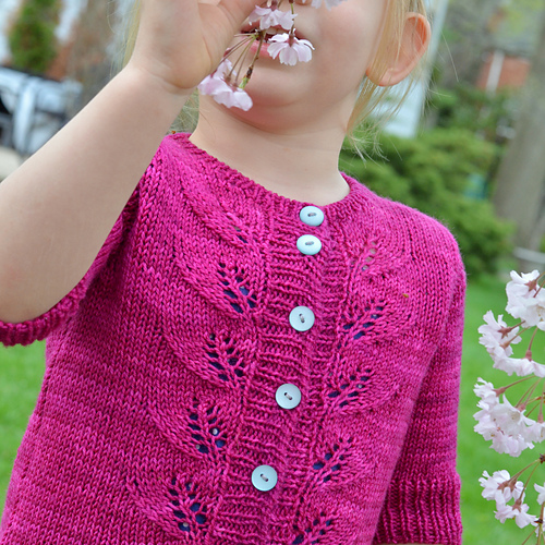 Ravelry: Berry Season Cardigan pattern by Heidi Atwood-Reeves