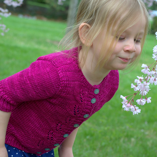 Ravelry: Berry Season Cardigan pattern by Heidi Atwood-Reeves