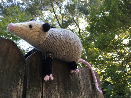 Nothing's as awesome as a knitted opossum : r/knitting