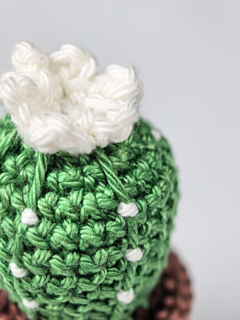 Ravelry: Cactus Object pattern by Natalya Kornysheva