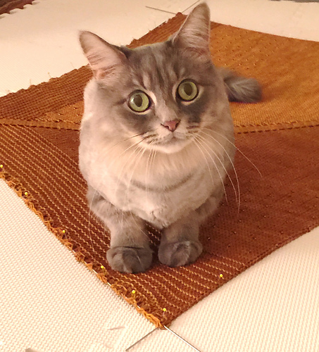 Ravelry: Calla pattern by Annie Baker Designs