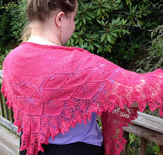 Ravelry: missbabs' Meristem in Lady Bug Alpacacita