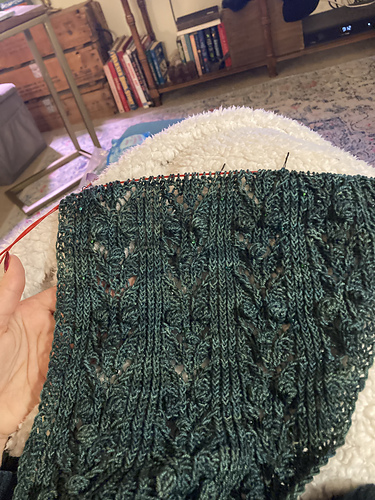 What is the longest knitting project you ever did and was it worth it ...